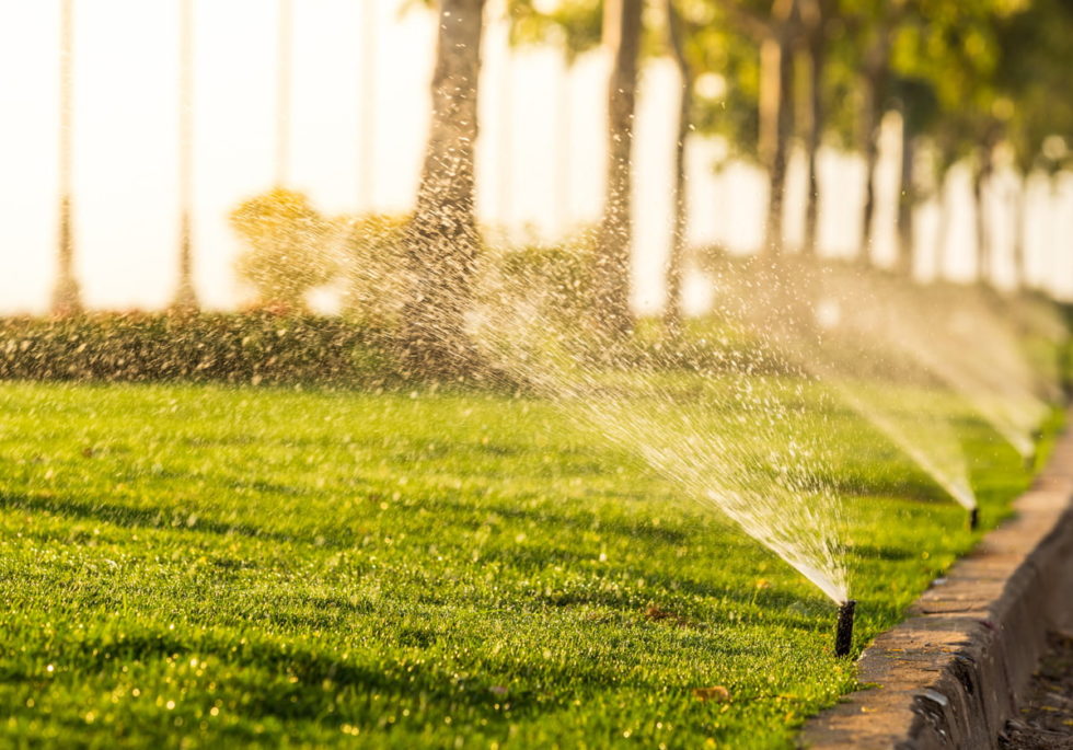What is Smart irrigation or Smart Watering